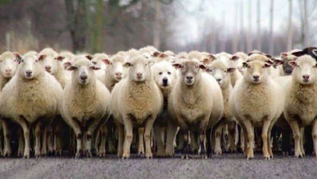 Do You Know The Difference? – Real Life Happens